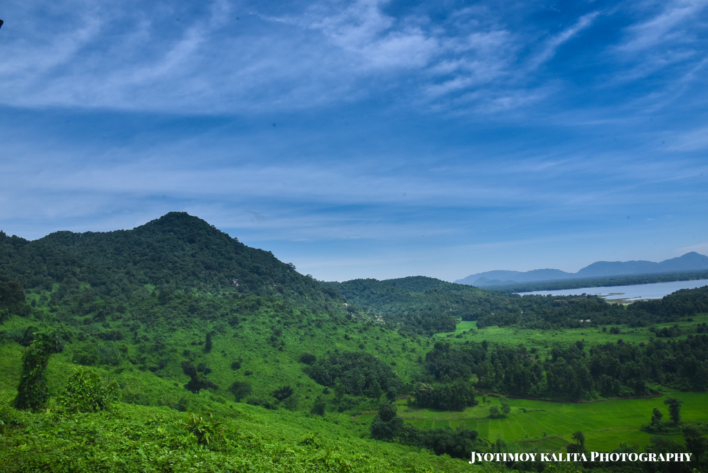 A journey amidst the boulevard - Nature's Beckon